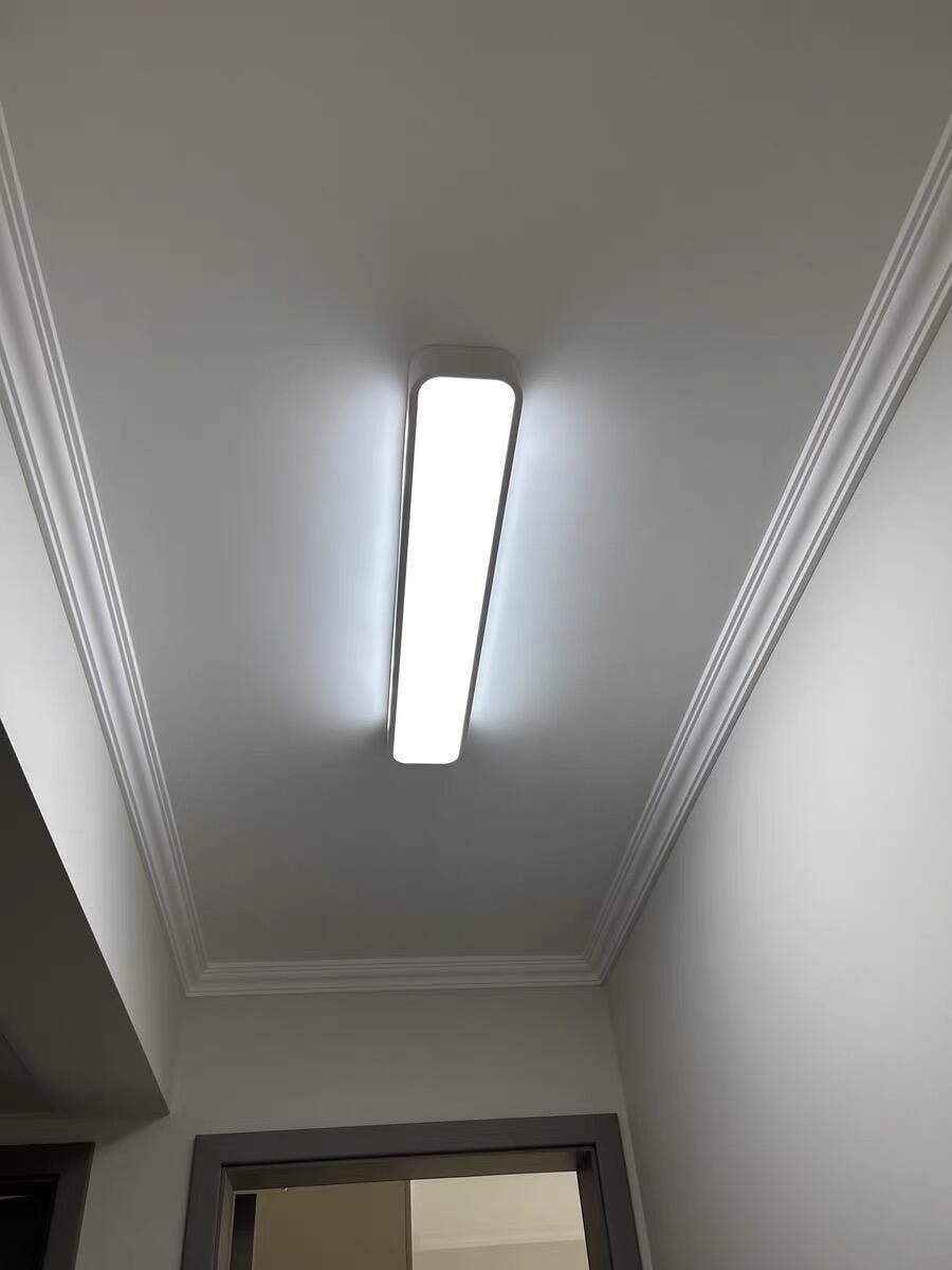Lampsmodern Ceiling Light Modern Nordic Minimalist Long LED Low Ceiling ...