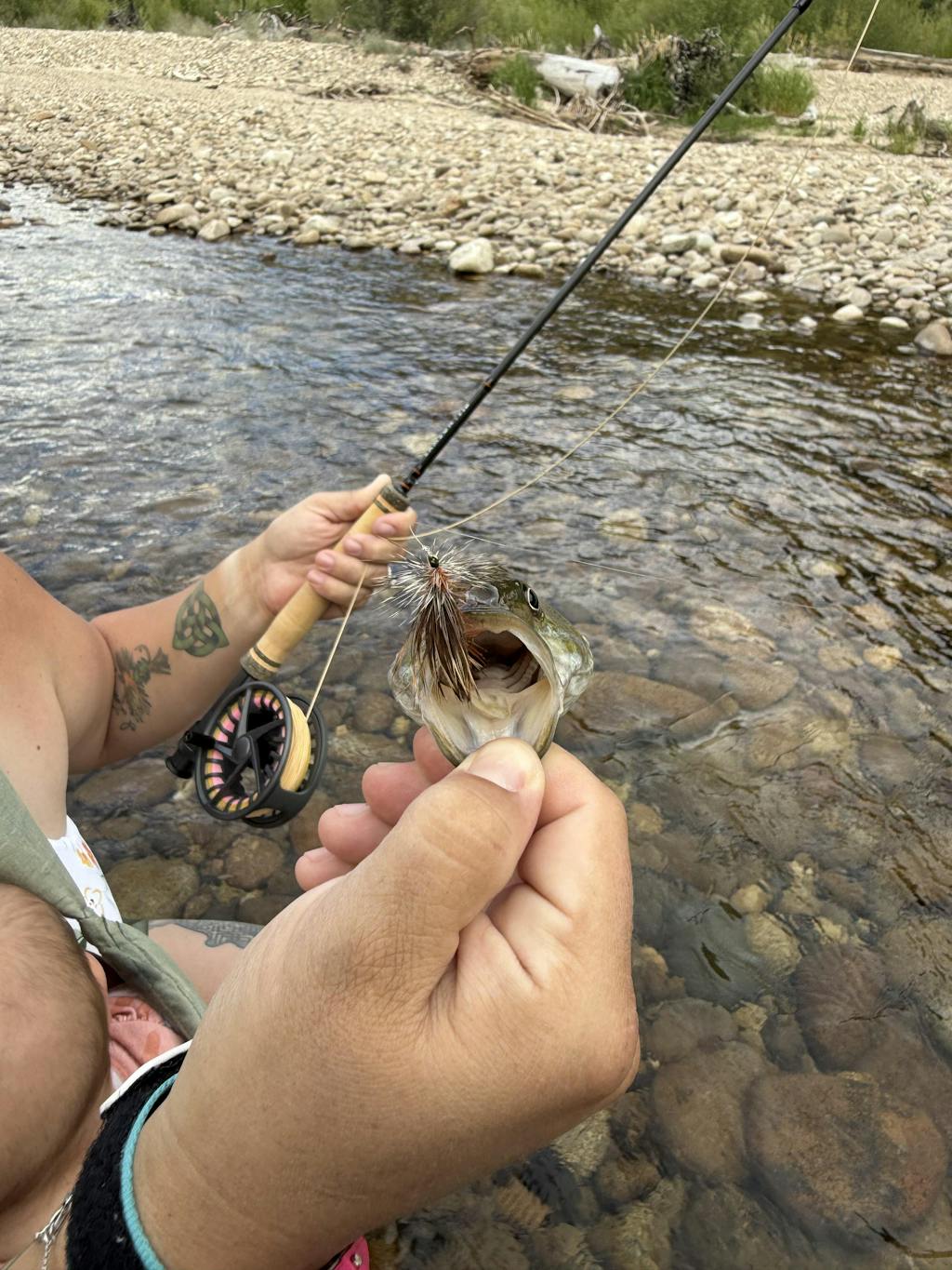 Liquid Outfit Unlined