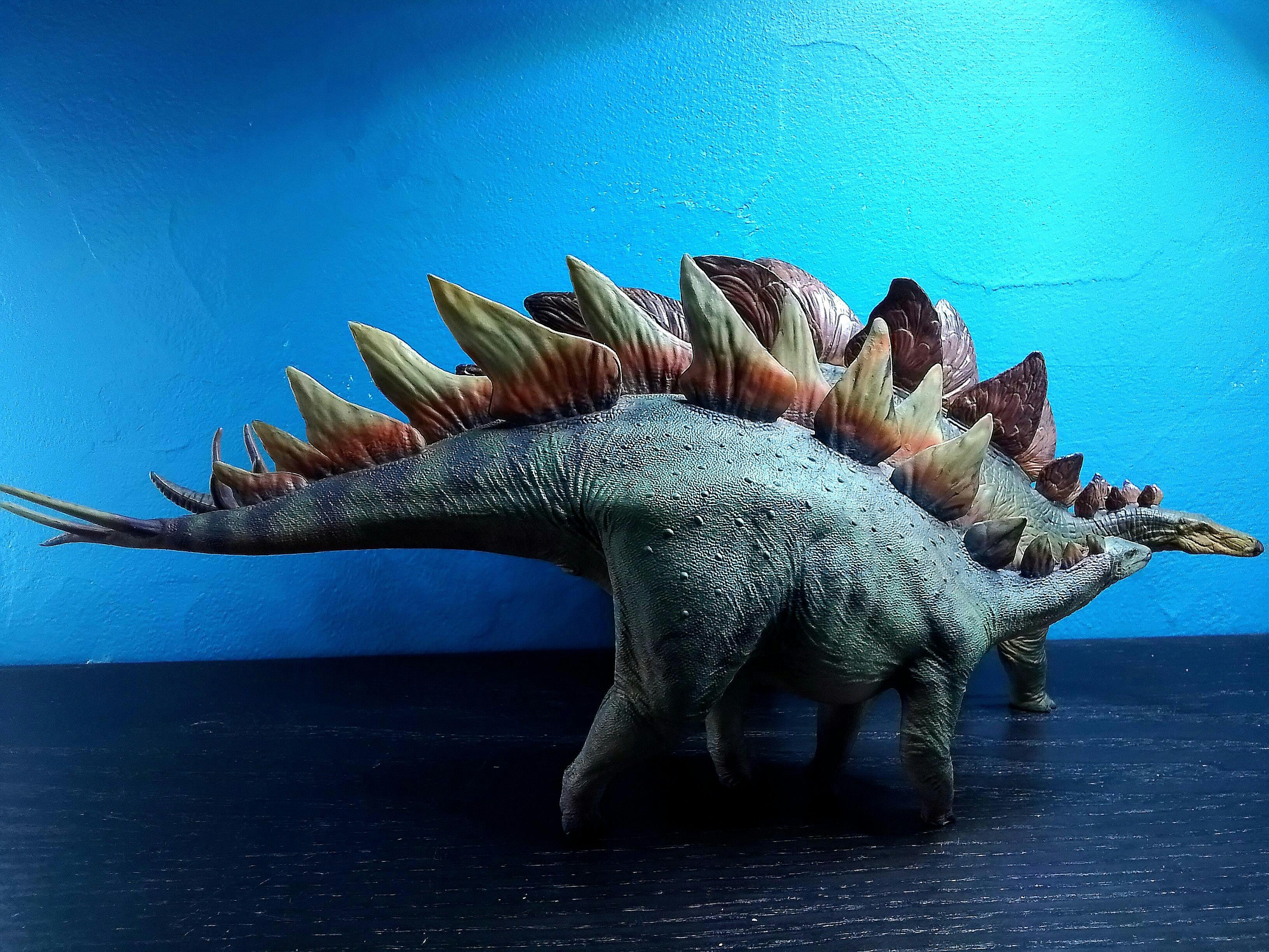HAOLONGGOOD 1:35 Scale Stegosaurus Model – Lana Time Shop