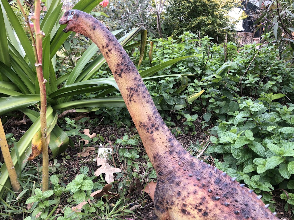 HAOLONGGOOD 1:35 Scale Argentinosaurus Model – Lana Time Shop