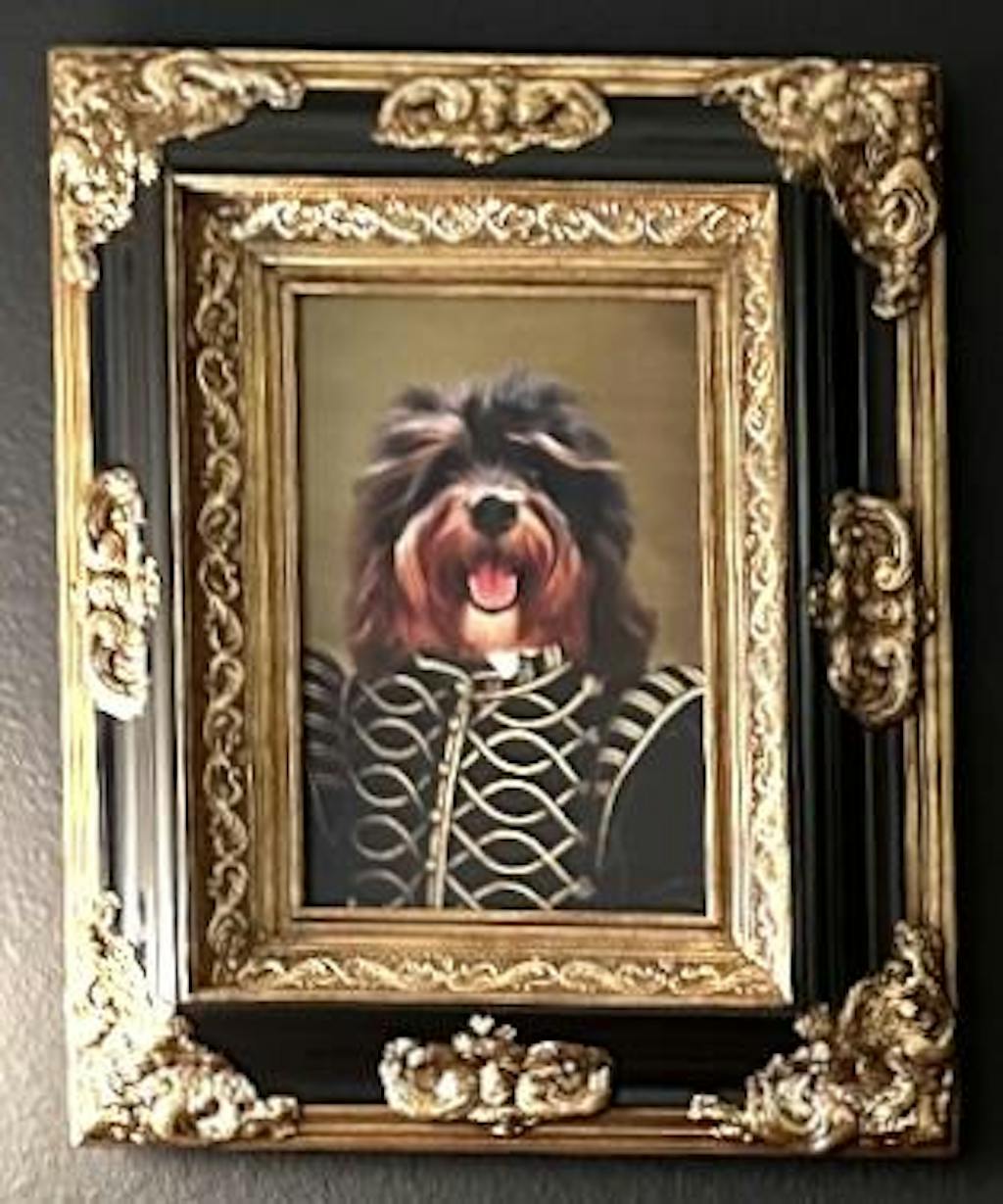 Hisense TV Frames – Laredo Frame Factory