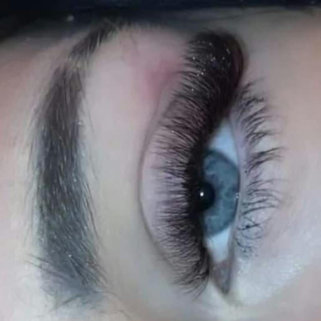 6D Premade Volume Fans Ultra Dark Short Stem – Lash Jungle