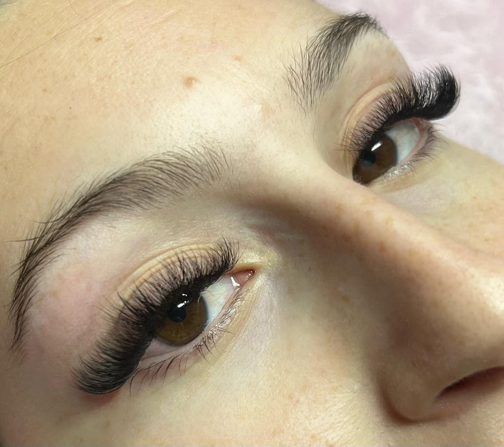 6D Premade Volume Fans Ultra Dark Short Stem – Lash Jungle