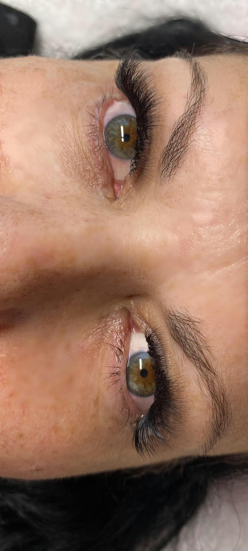 6D Premade Volume Fans Ultra Dark Short Stem – Lash Jungle