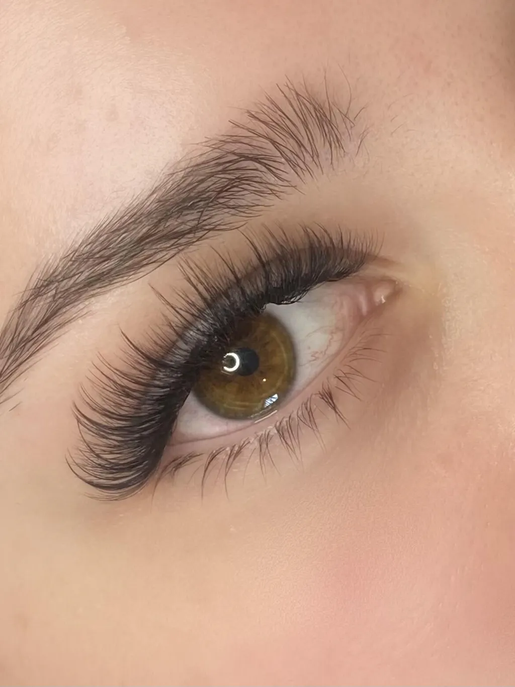 6D Premade Volume Fans Ultra Dark Short Stem – Lash Jungle