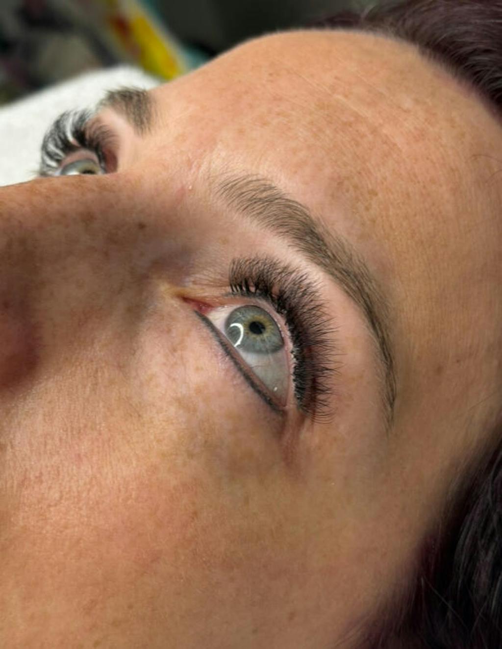 6D Premade Volume Fans Ultra Dark Short Stem – Lash Jungle