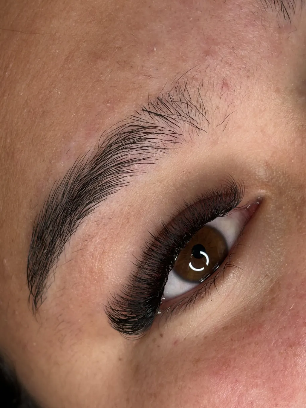 6D Premade Volume Fans Ultra Dark Short Stem – Lash Jungle