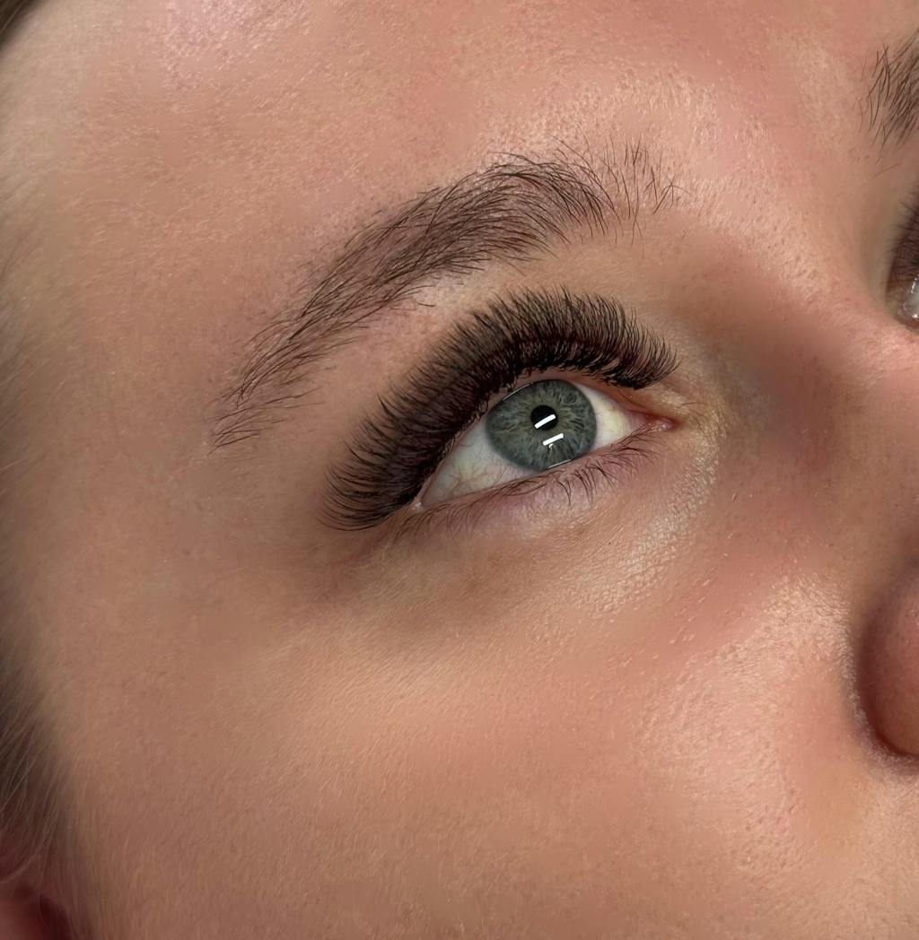 6D Premade Volume Fans Ultra Dark Short Stem – Lash Jungle