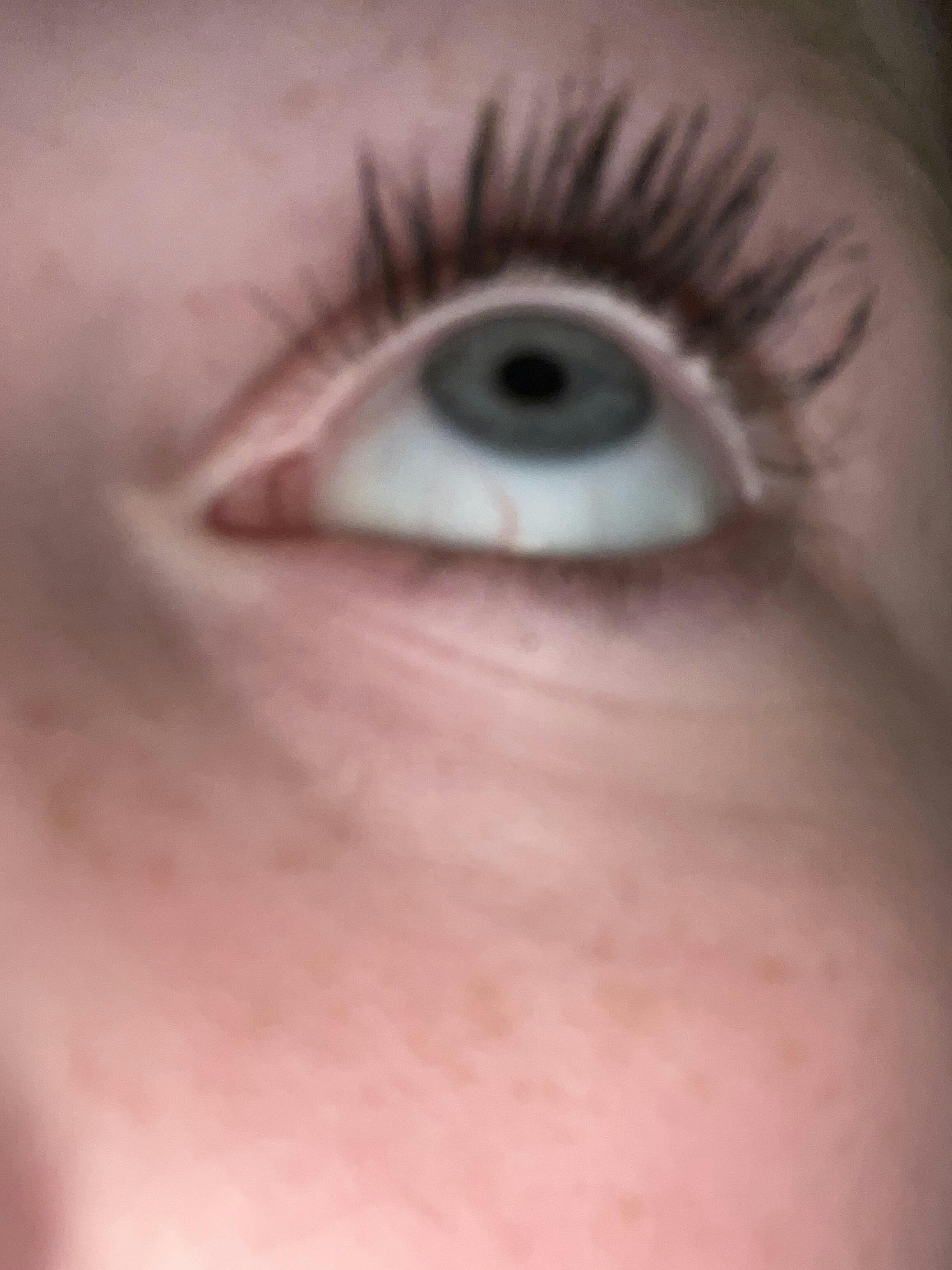 The Complete Lash Set - Lash Therapy Australia