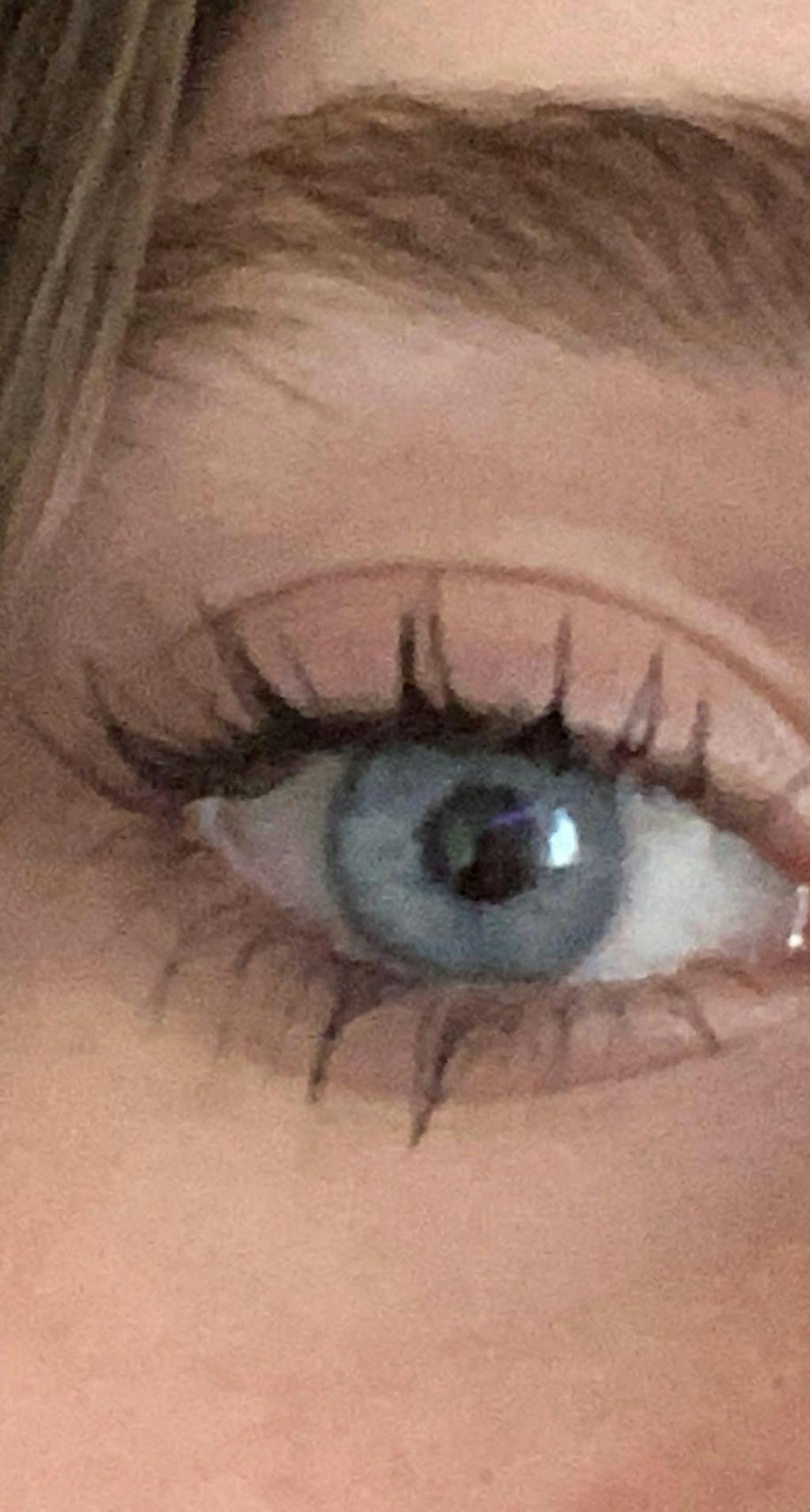 The Complete Lash Set - Lash Therapy Australia