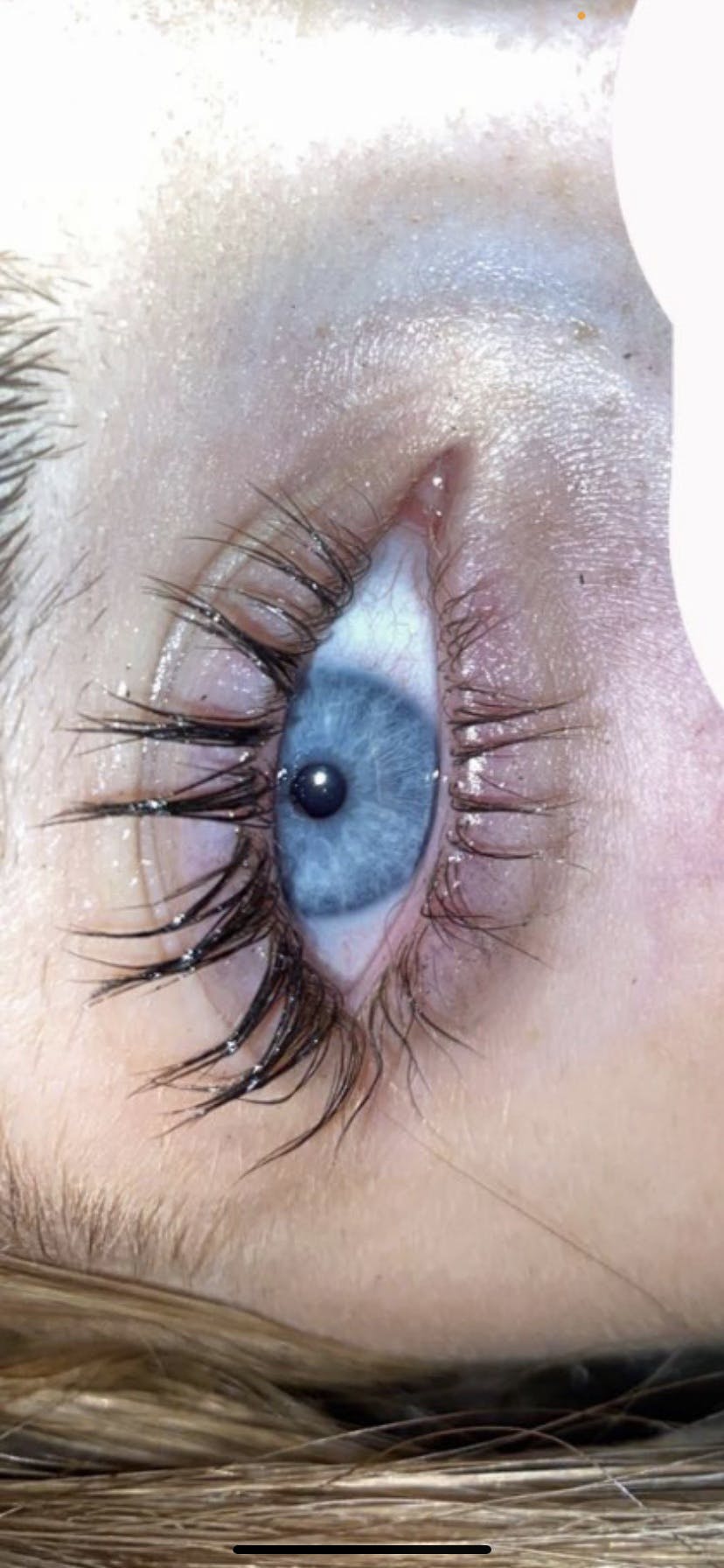 The Complete Lash Set - Lash Therapy Australia