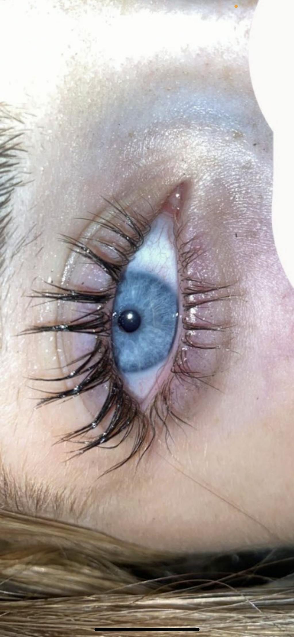 The Complete Lash Set - Lash Therapy Australia