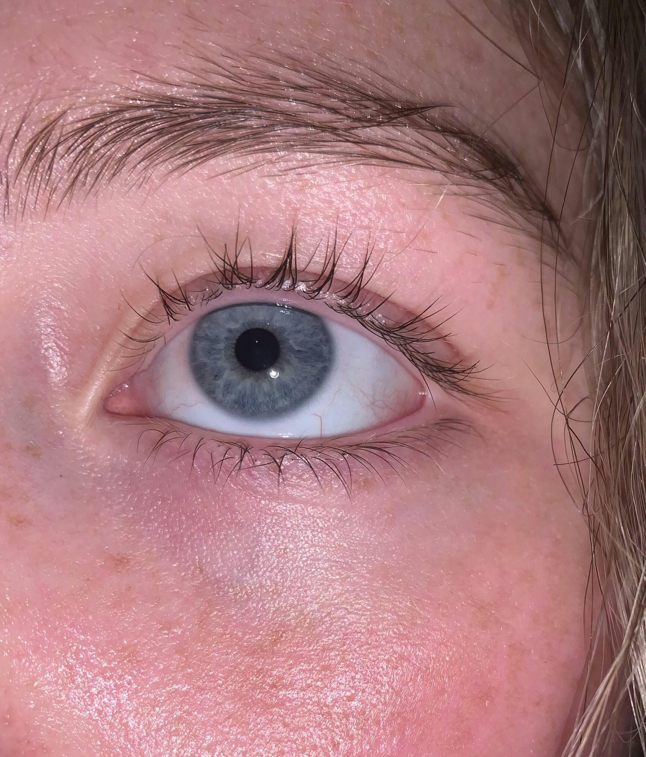 The Complete Lash Set - Lash Therapy Australia