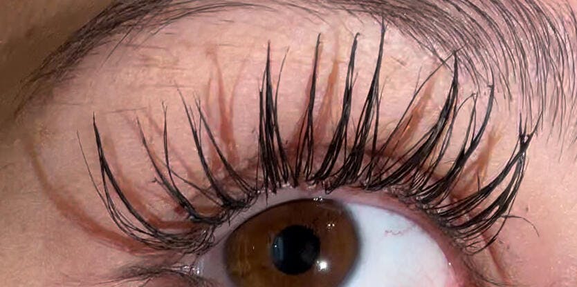 The Complete Lash Set - Lash Therapy Australia