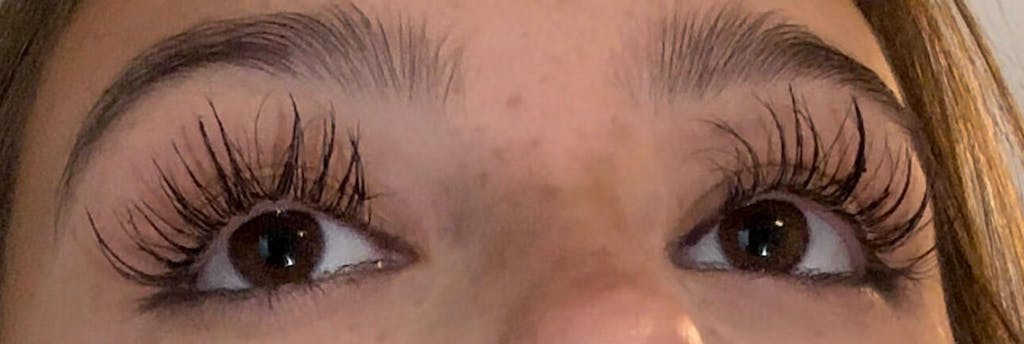 The Complete Lash Set - Lash Therapy Australia