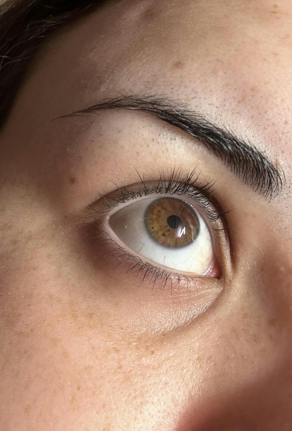 Eyebrow Growth Serum - Wholesale packs - ONE V SALON PRO