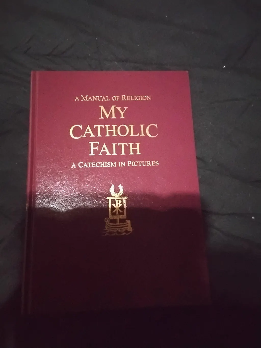 My Catholic Faith: A Manual of Religion (Traditional Catechism in Pict ...