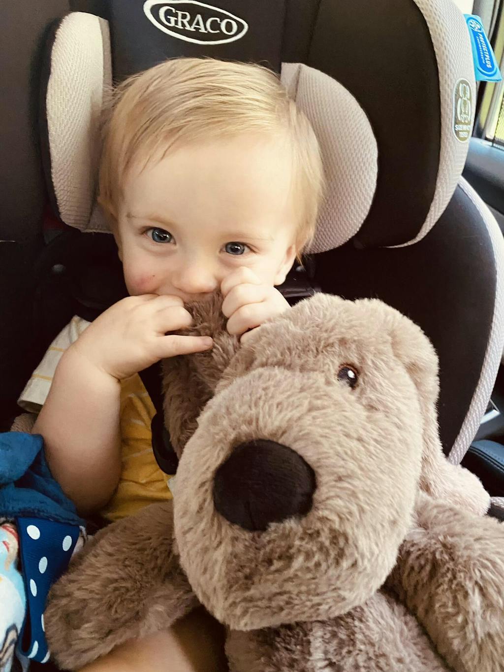 Xander Dog - Lavender Comfort Stuffed Animal