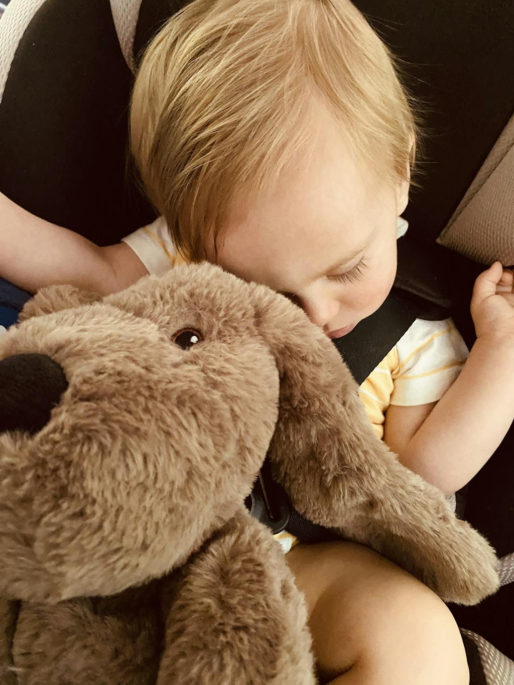 Xander Dog - Lavender Comfort Stuffed Animal