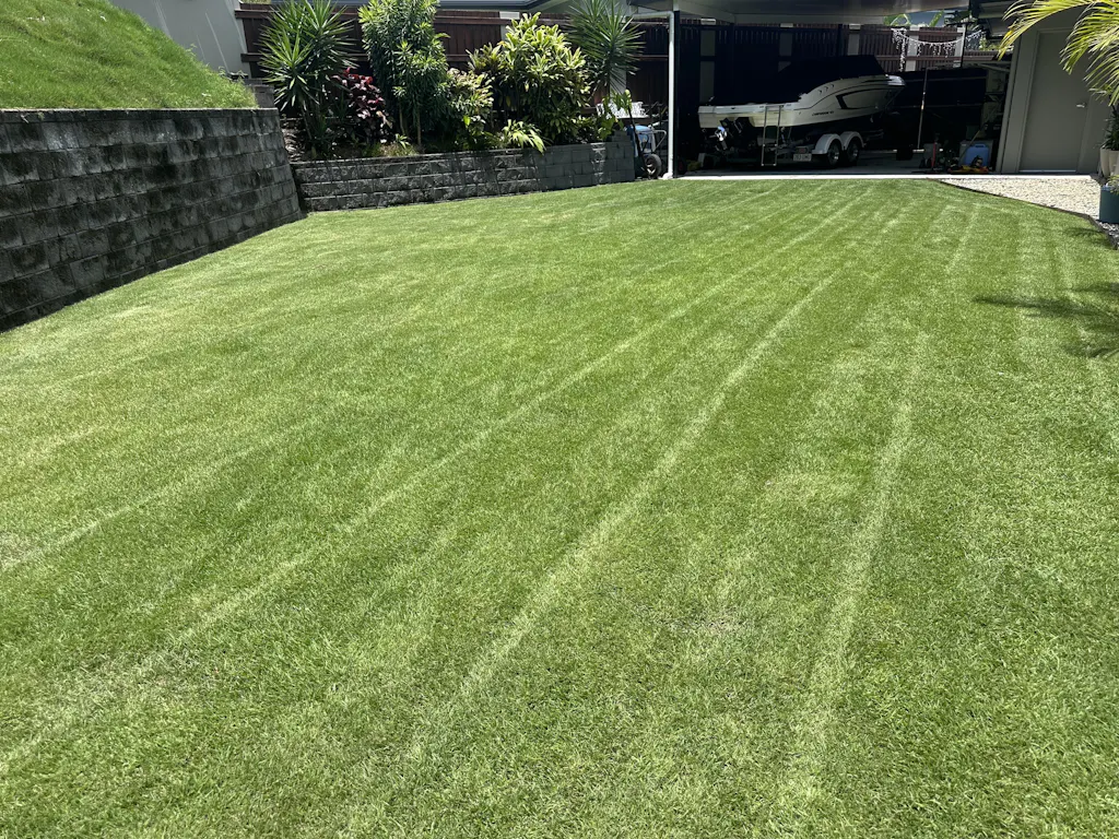 Lawncare Essentials Pack | Home Lawn Care Pack | Lawnhub