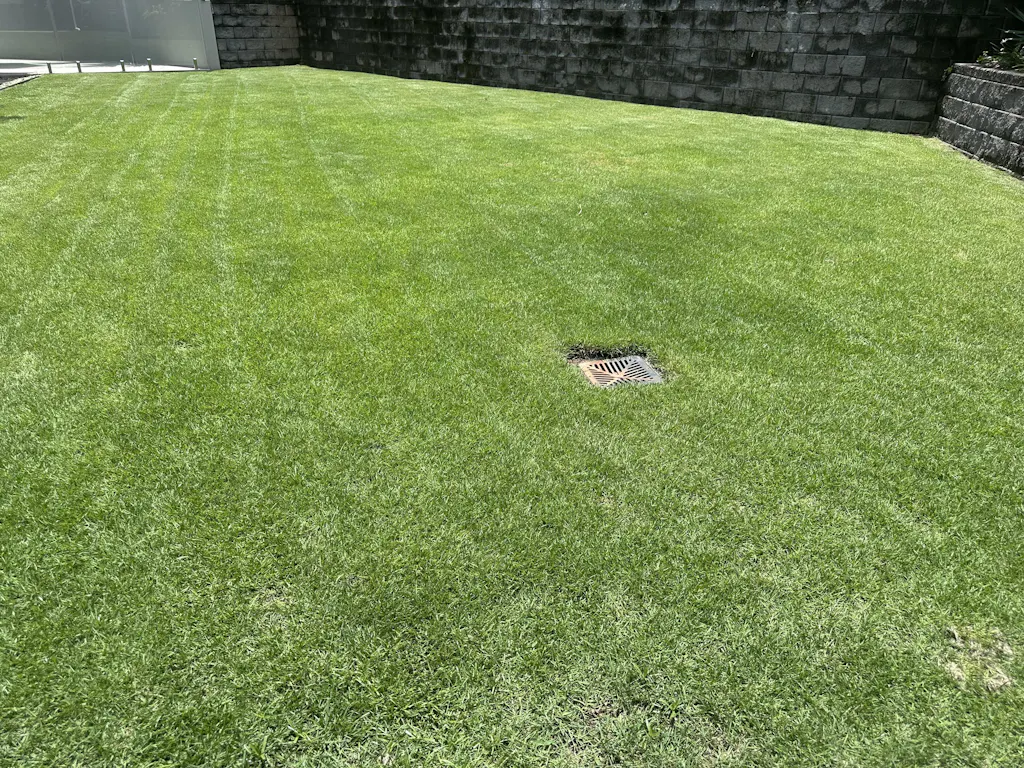 Lawncare Essentials Pack | Home Lawn Care Pack | Lawnhub