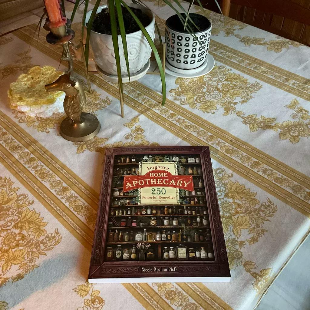 Forgotten Home Apothecary : 250 Powerful Remedies at Your Fingertips ...