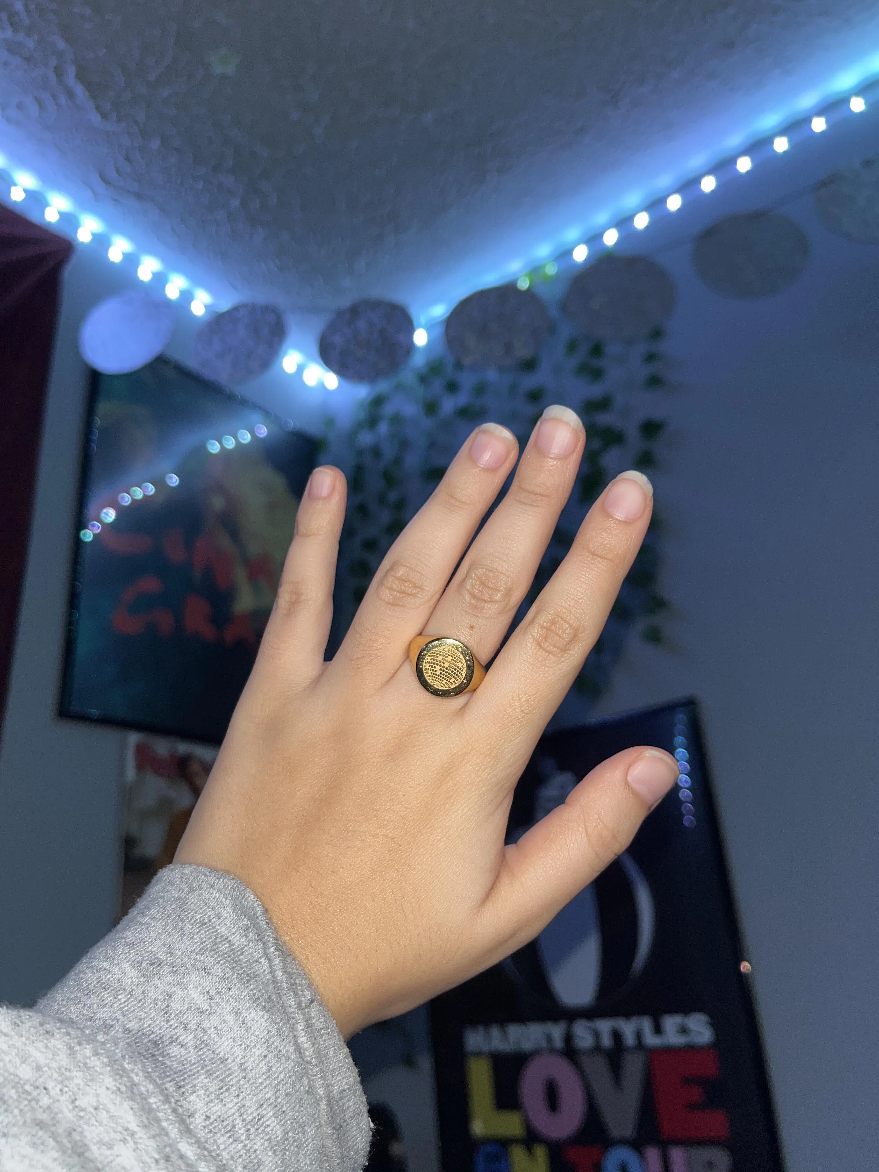 Shining Mirrorball signet ring - Engraved Circle Signet Ring – Le ...