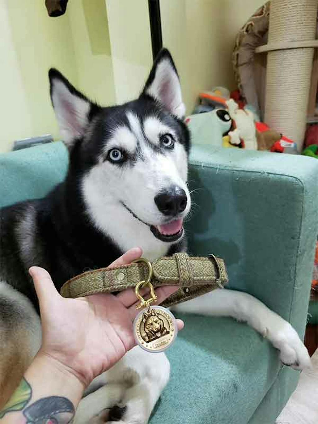 Cool 3D Personalized Dog Tags for Large Dog Breeds | Lepeto