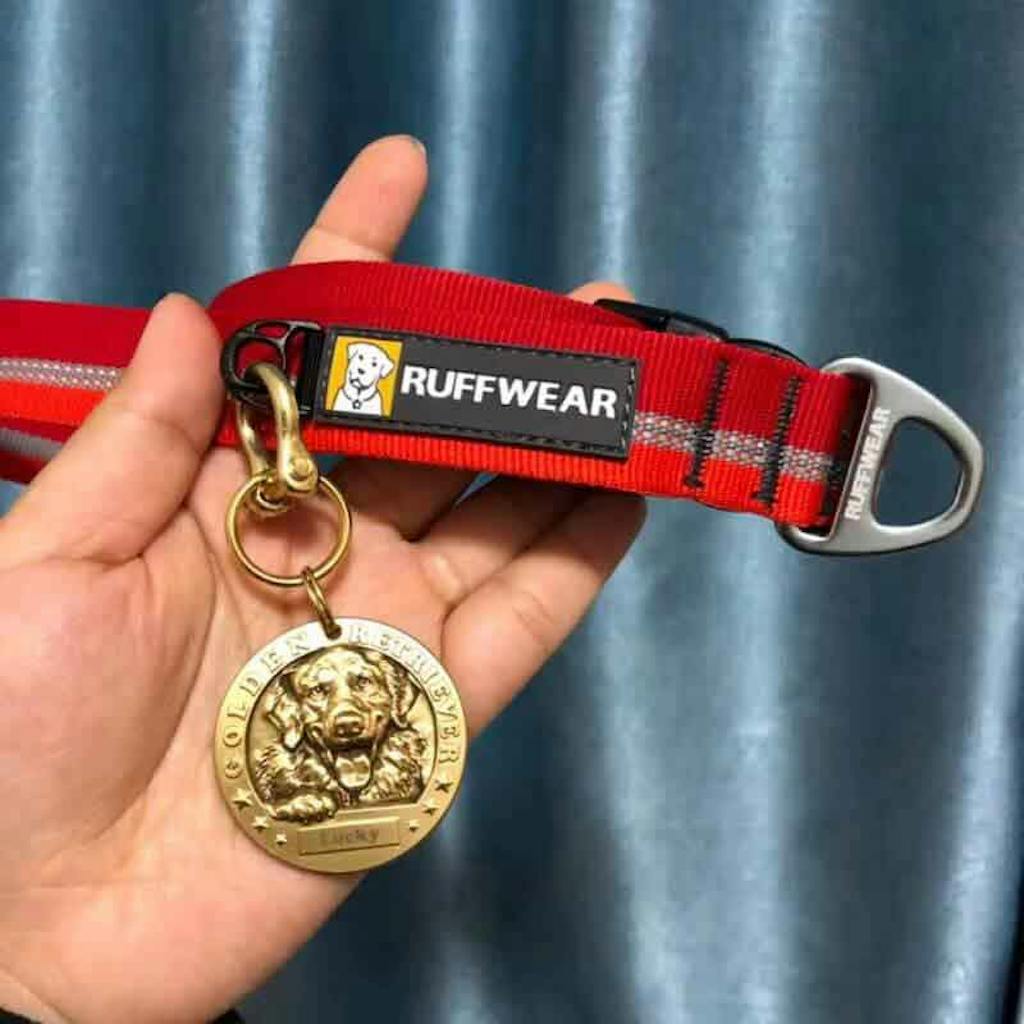 Cool 3D Personalized Dog Tags for Large Dog Breeds | Lepeto