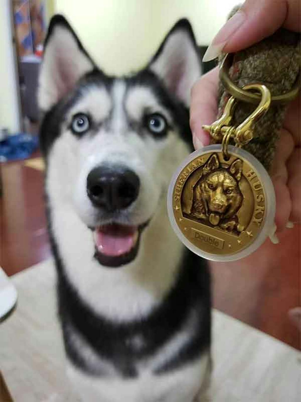 Cool 3D Personalized Dog Tags for Large Dog Breeds | Lepeto