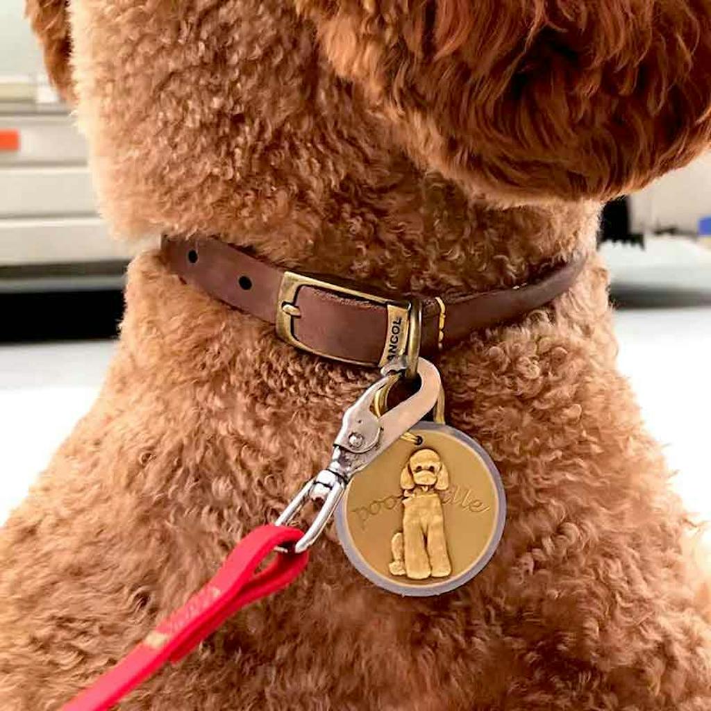 Cool 3D Personalized Dog Tags for Large Dog Breeds | Lepeto