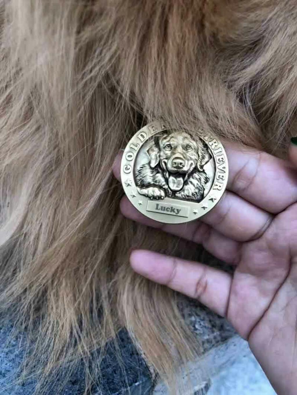 Cool 3D Personalized Dog Tags for Large Dog Breeds | Lepeto