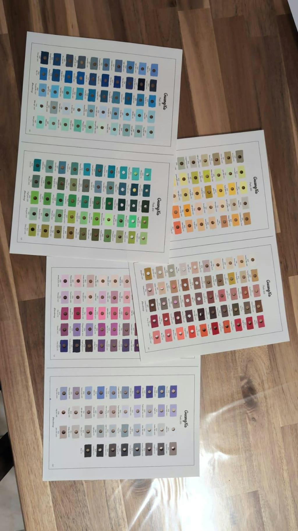 GuangNa 288 – Les Nuanciers de Line 🌸