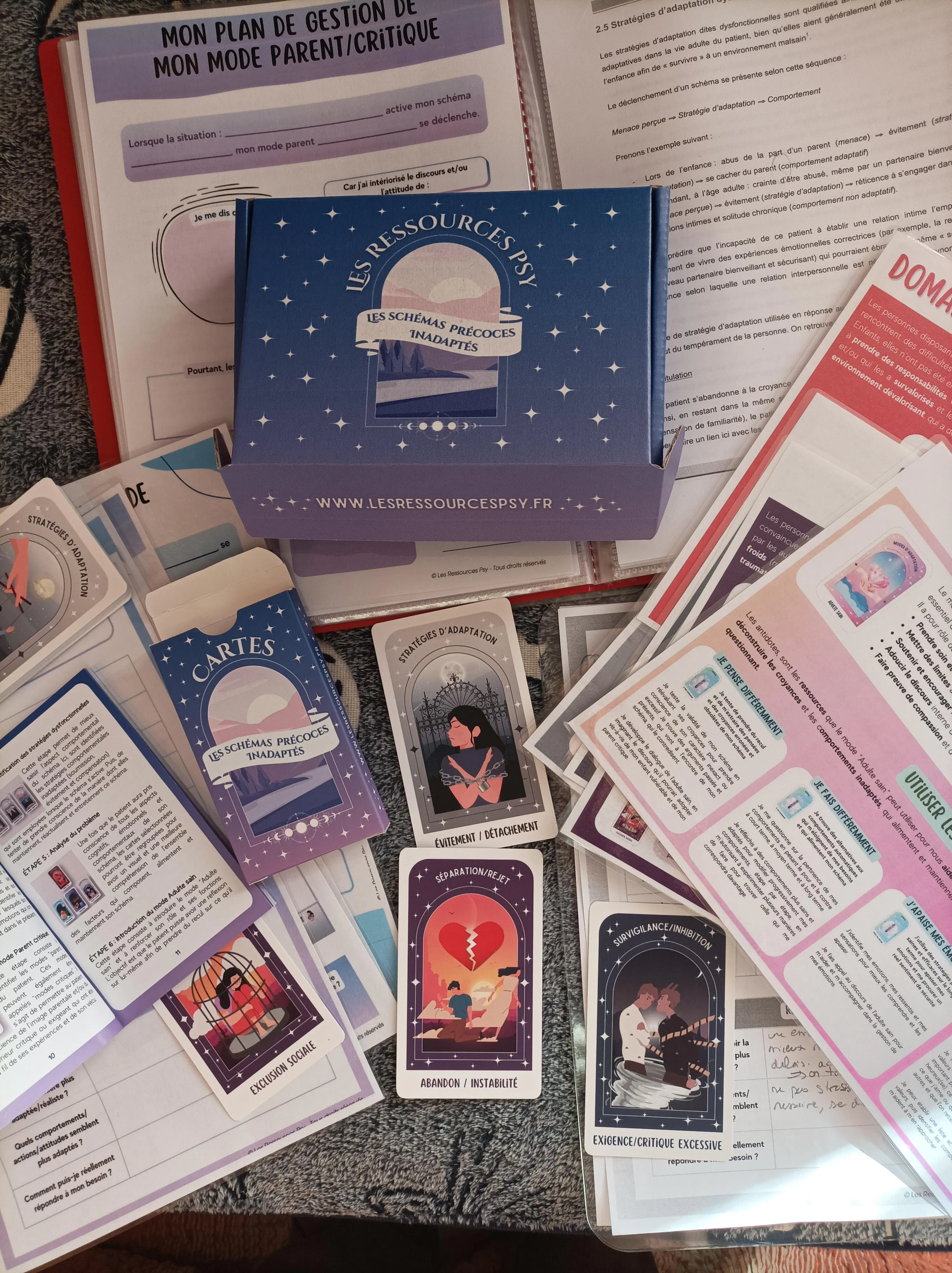 Kit de la "Thérapie des Schémas" – Les ressources psy