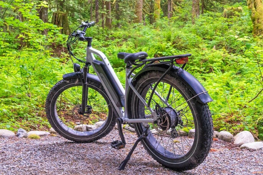 Himiway Cruiser Step-Thru Long Range All Terrain 750W Electric Bike ...