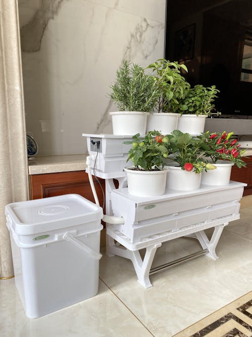 LetPot™ Smart Gardening – LetPot's garden