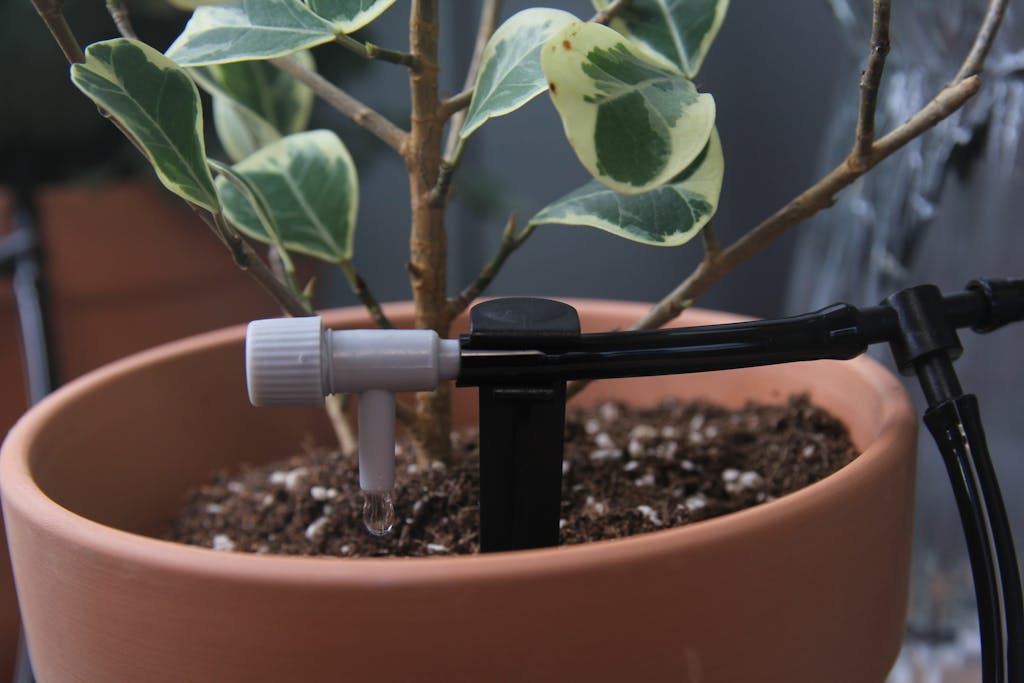 LetPot™｜Drip Irrigation Kit Automatic Watering System To Save Your Time ...