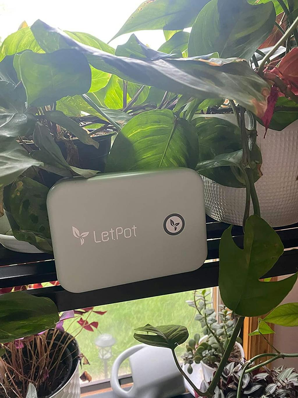 LetPot® | Automatic Watering System, Drip Irrigation Kits with App Control