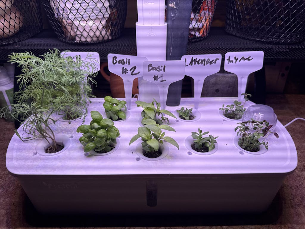 LetPot Mini Indoor Hydroponic Garden with App Control, Indoor growing ...