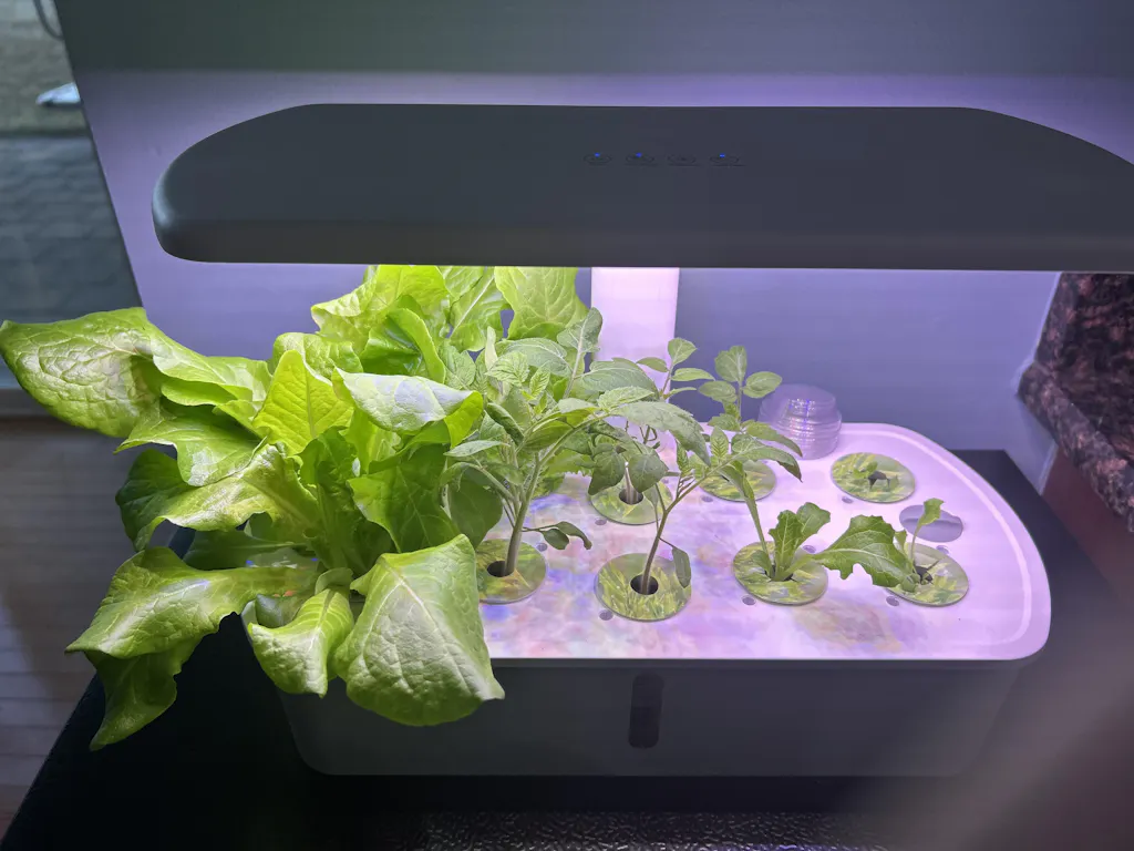 LetPot Air 10-Pod Hydroponic Gardening System, Indoor Garden Kit