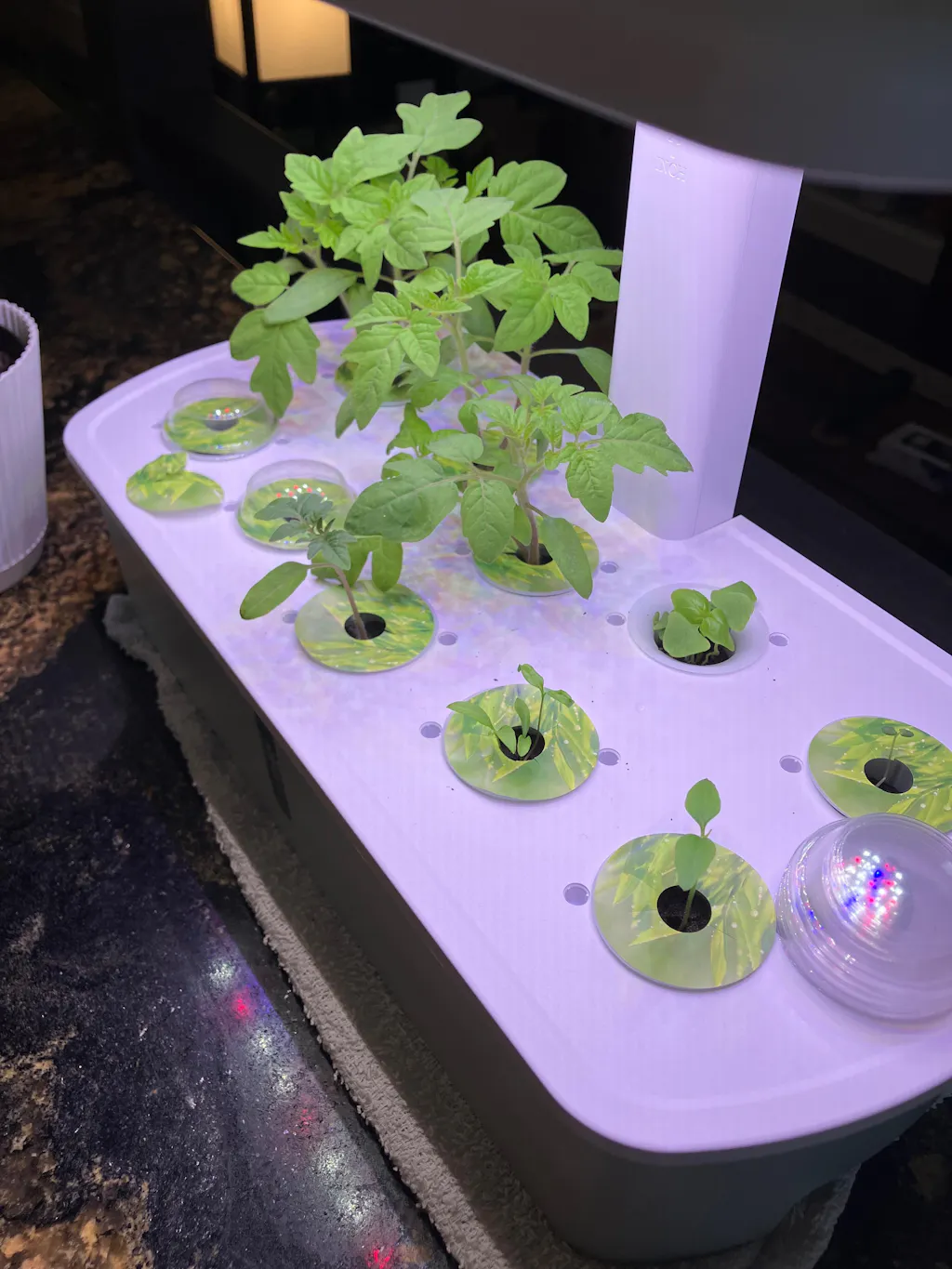 LetPot Air 10-Pod Hydroponic Gardening System, Indoor Garden Kit