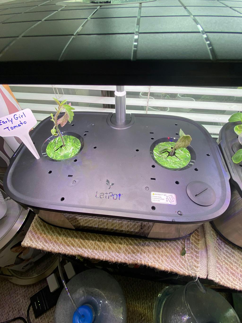 LetPot Max 21-Pod Hydroponics System, a 4-1 Hydroponics Grow System ...