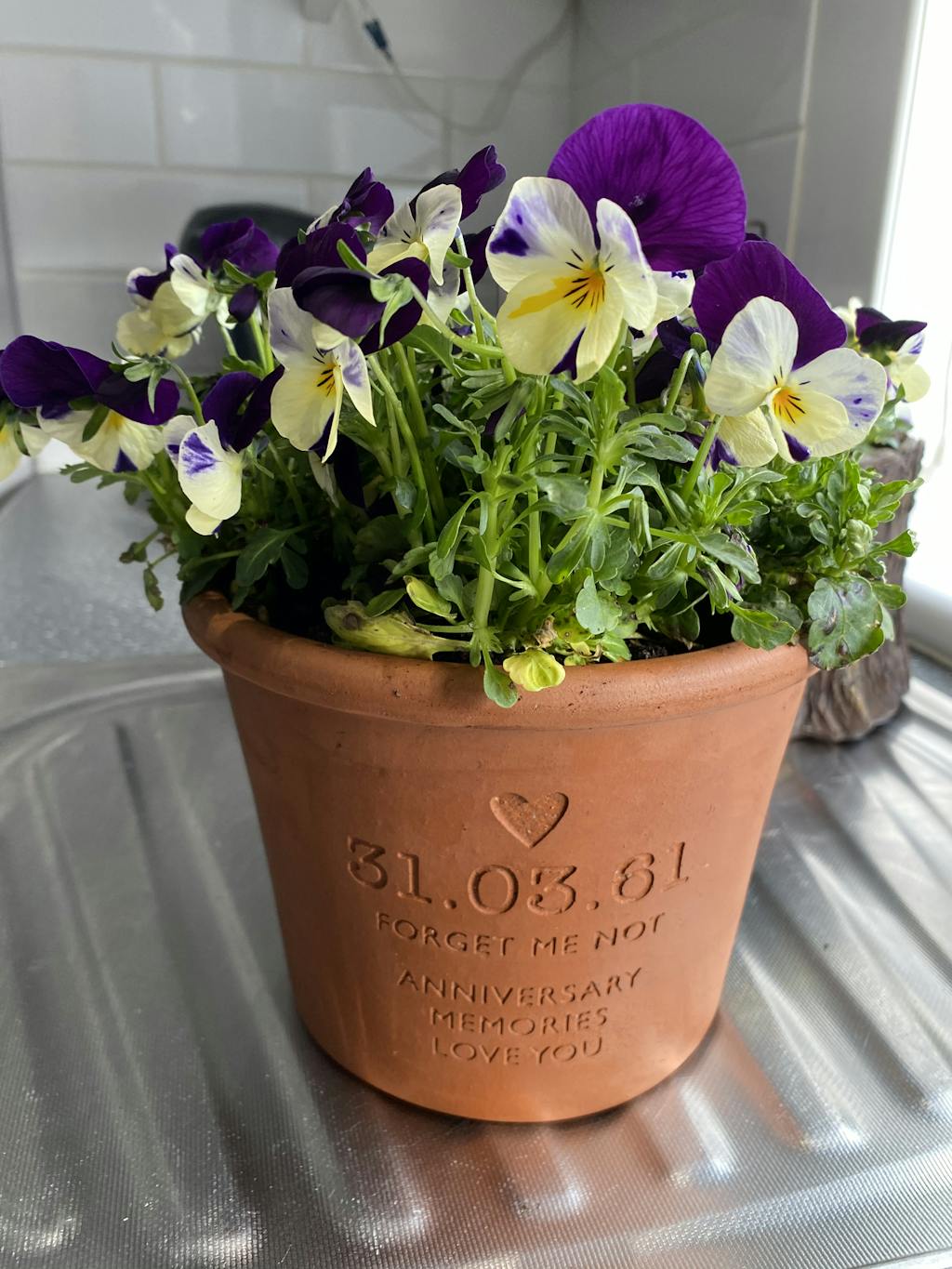 Personalised Forget Me Not Plant Pot– Letterfest