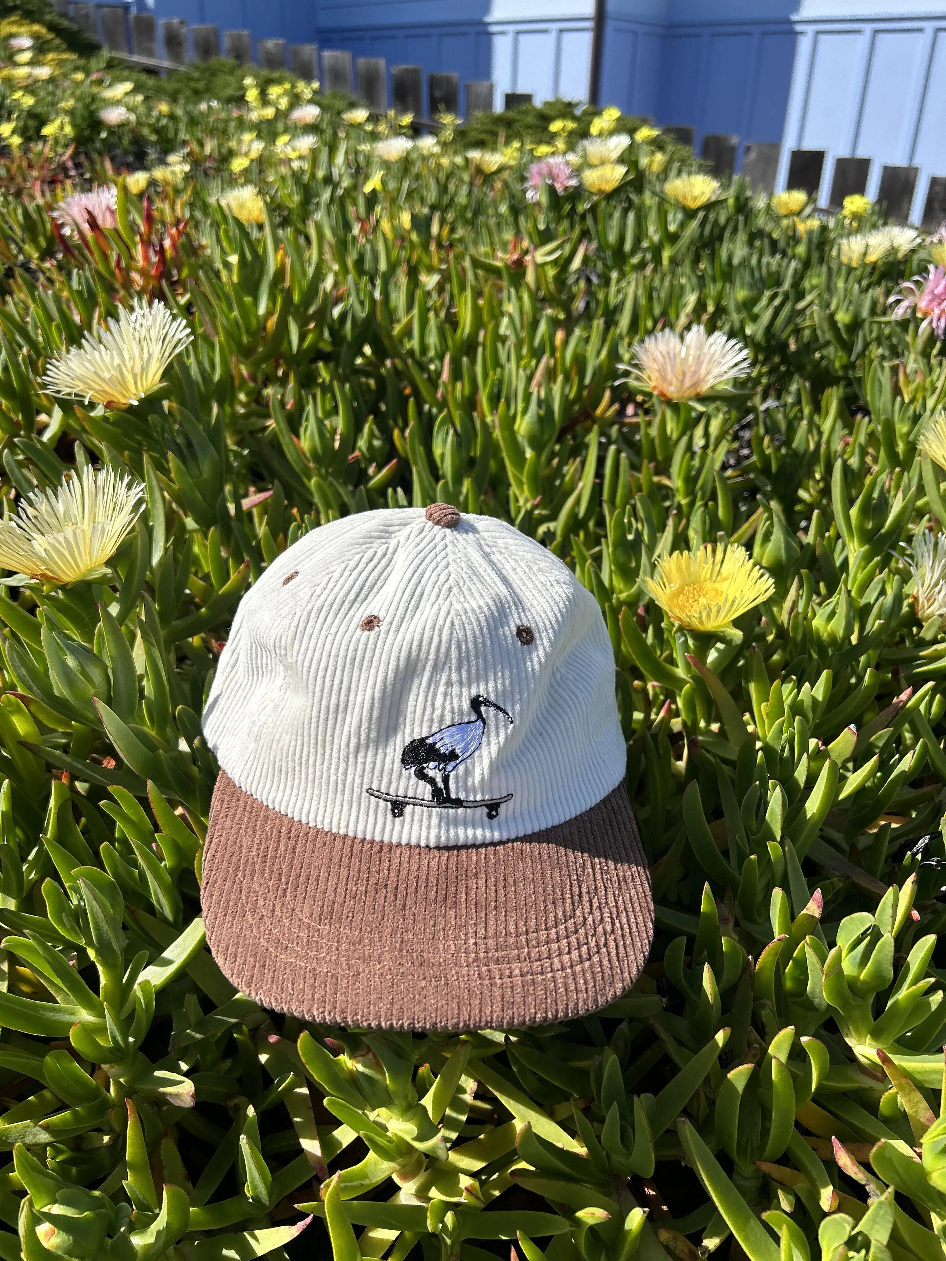 SKATEPARK SCAVENGER HAT | Lies Collective