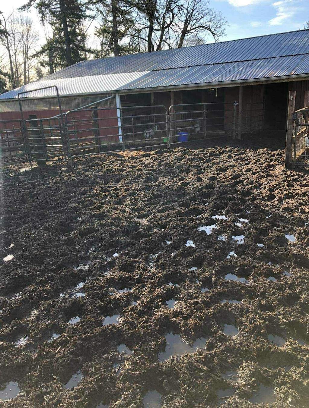 Lighthoof Equine Mud Management Panel