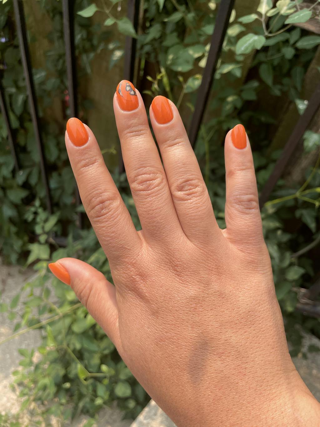 Hide the Rum! – Lights Lacquer