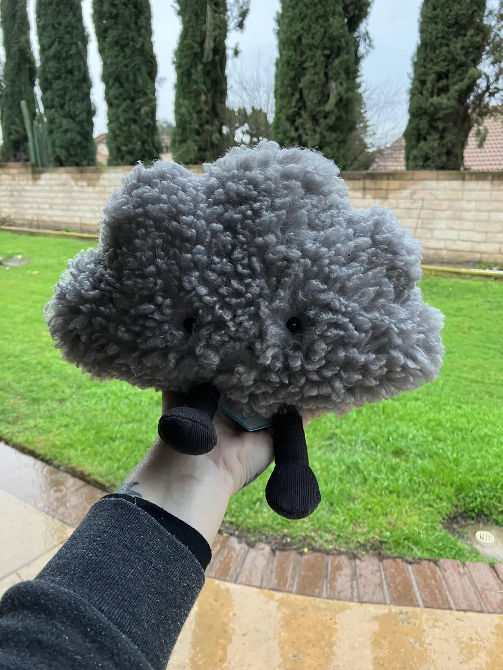 Amuseable Storm Cloud | JellyCat