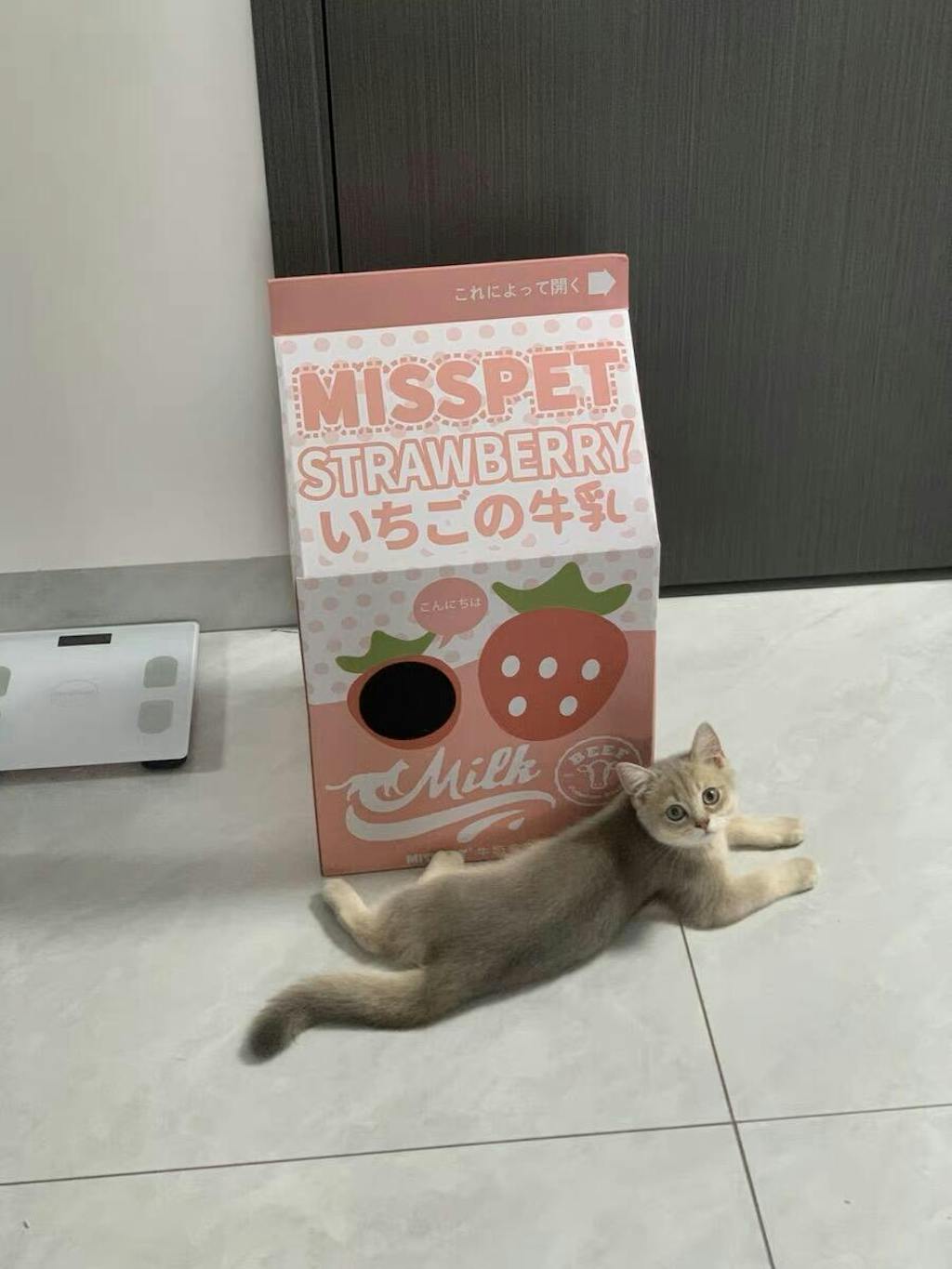 Cat Scratcher Milk Box House With Scratching Pad