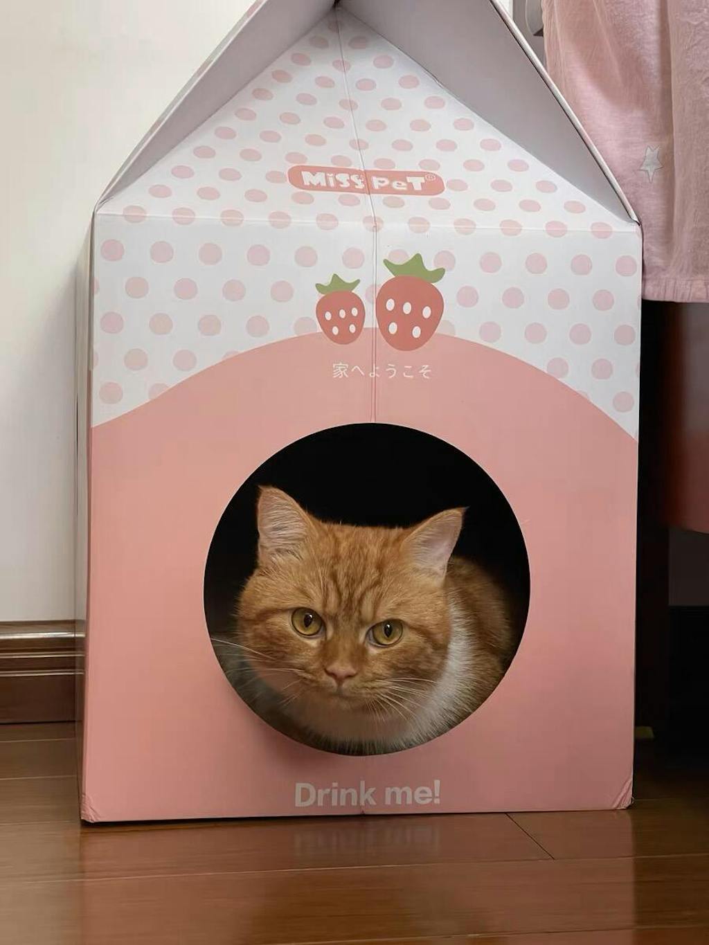 Cat Scratcher Milk Box House With Scratching Pad