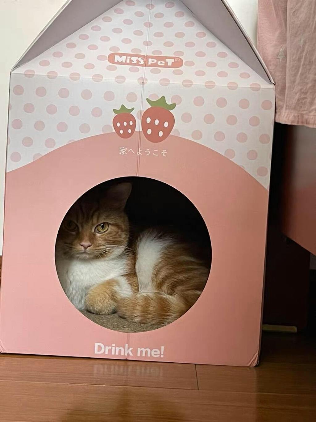 Cat Scratcher Milk Box House With Scratching Pad